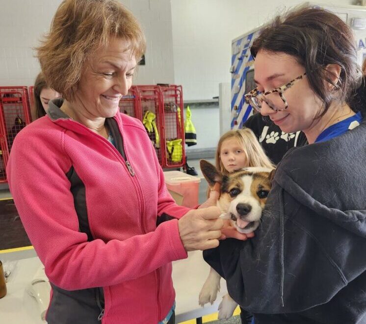 Humane Society Clinic to Provide Pet Vaccinations in Harford County